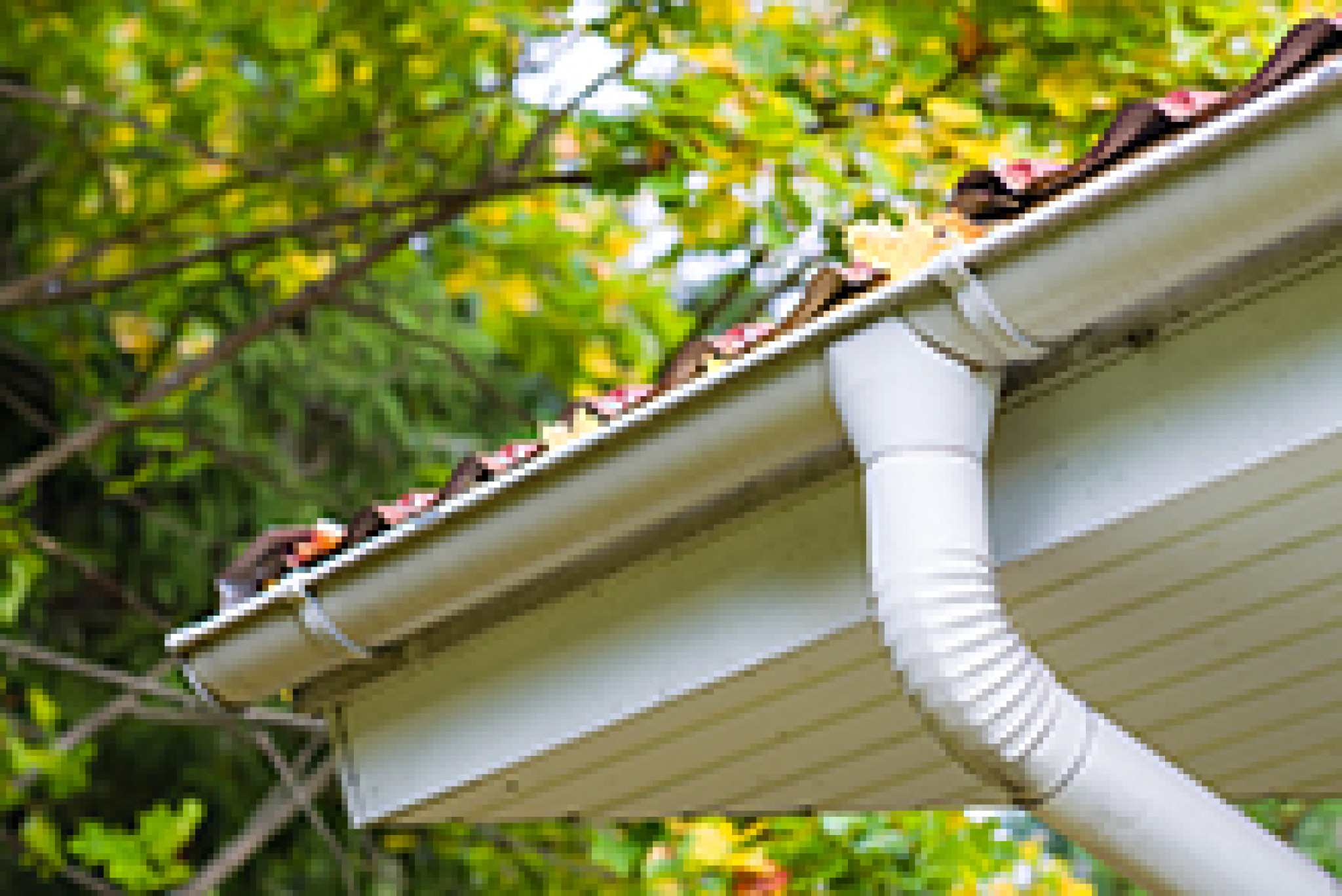 Guttering Services